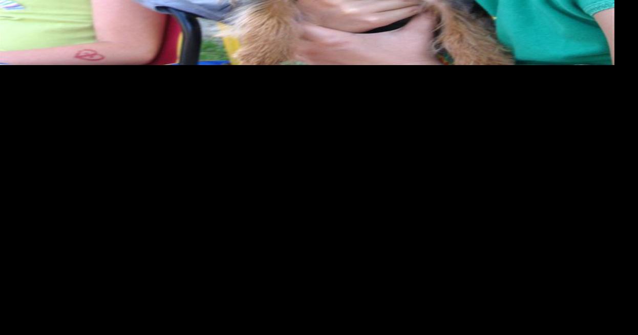 Towns mark Memorial Day | News | elkharttruth.com