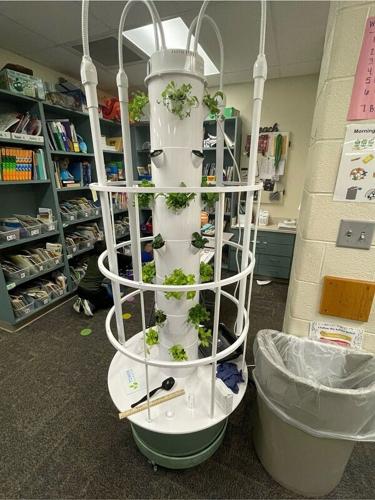 Classroom gardens aim to grow healthier communities | Hometown ...