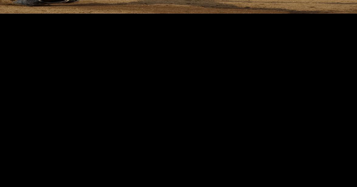 Northridge, Concord softball teams ready for rematch in sectional ...