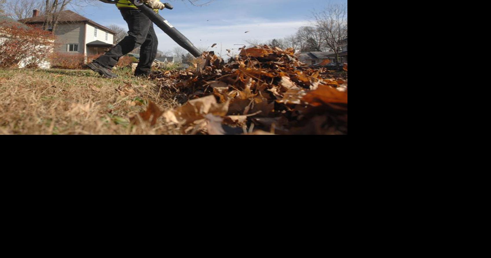 Leaf collection competition offers $50,000 in prizes | Hometown ...