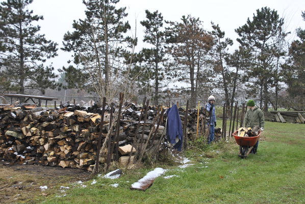Preparing the parks for winter | News | elkharttruth.com