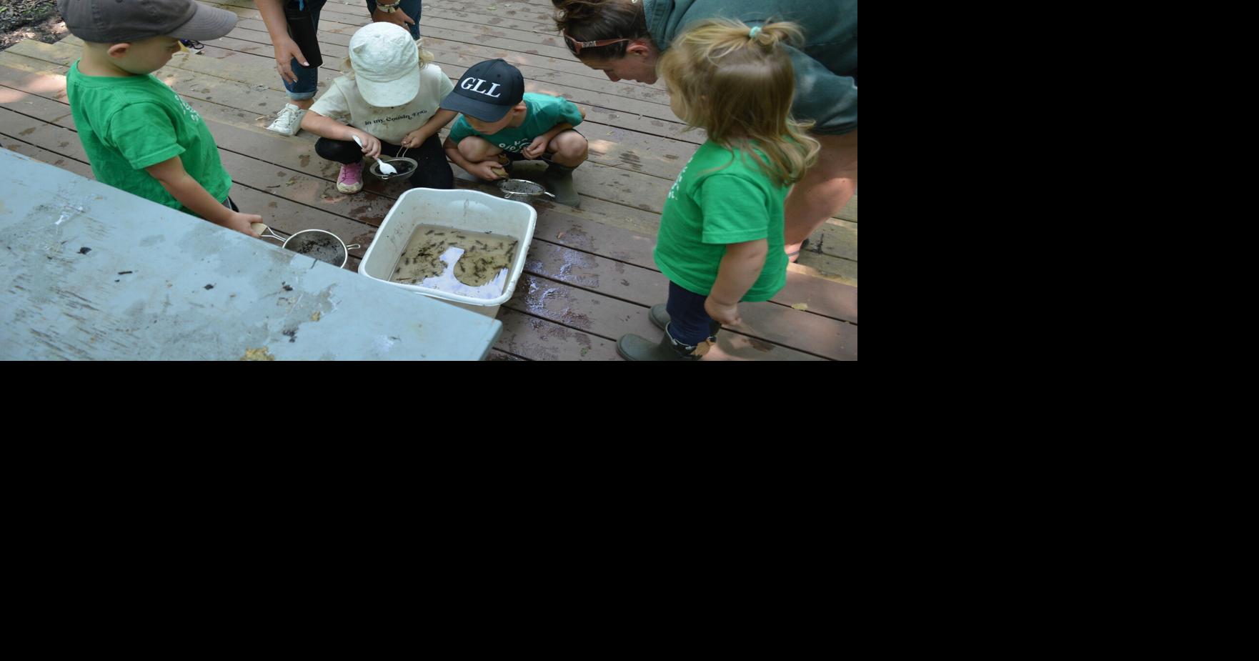 Free family fun offered Nature Play Day | Features | elkharttruth.com