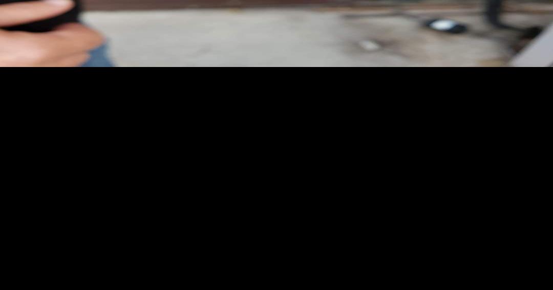 Bug Night to celebrate Indiana's insects | Features | elkharttruth.com