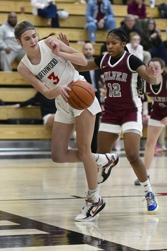 Unbeaten Panthers roll past Culver Academy | Sports | elkharttruth.com