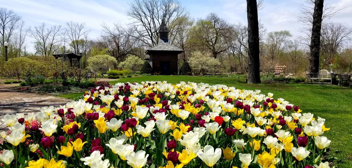 Wellfield Botanic ready to open, with conditions | Features ...