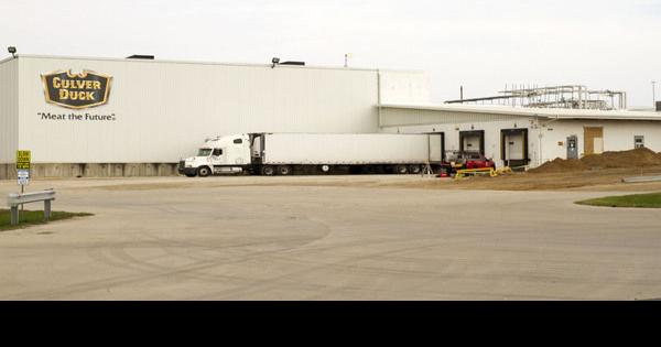 PETA charges Middlebury-based Culver Duck Farms with inhumanely ...