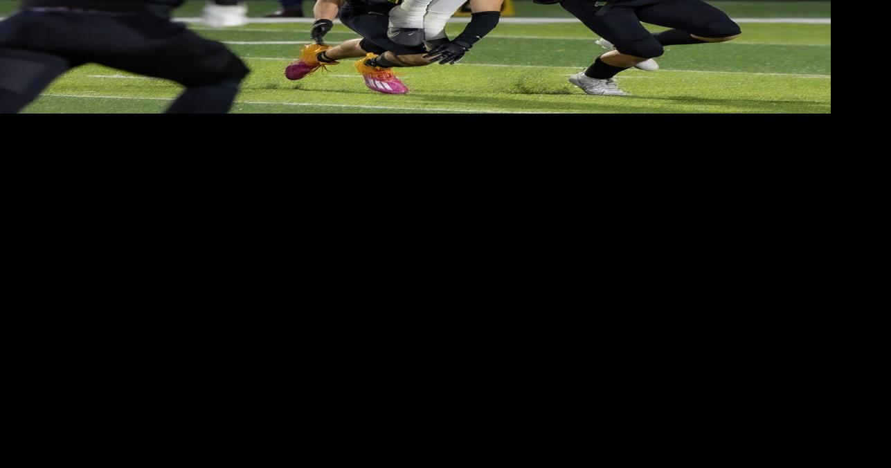 Resilient Panthers take down Northridge | Sports | elkharttruth.com