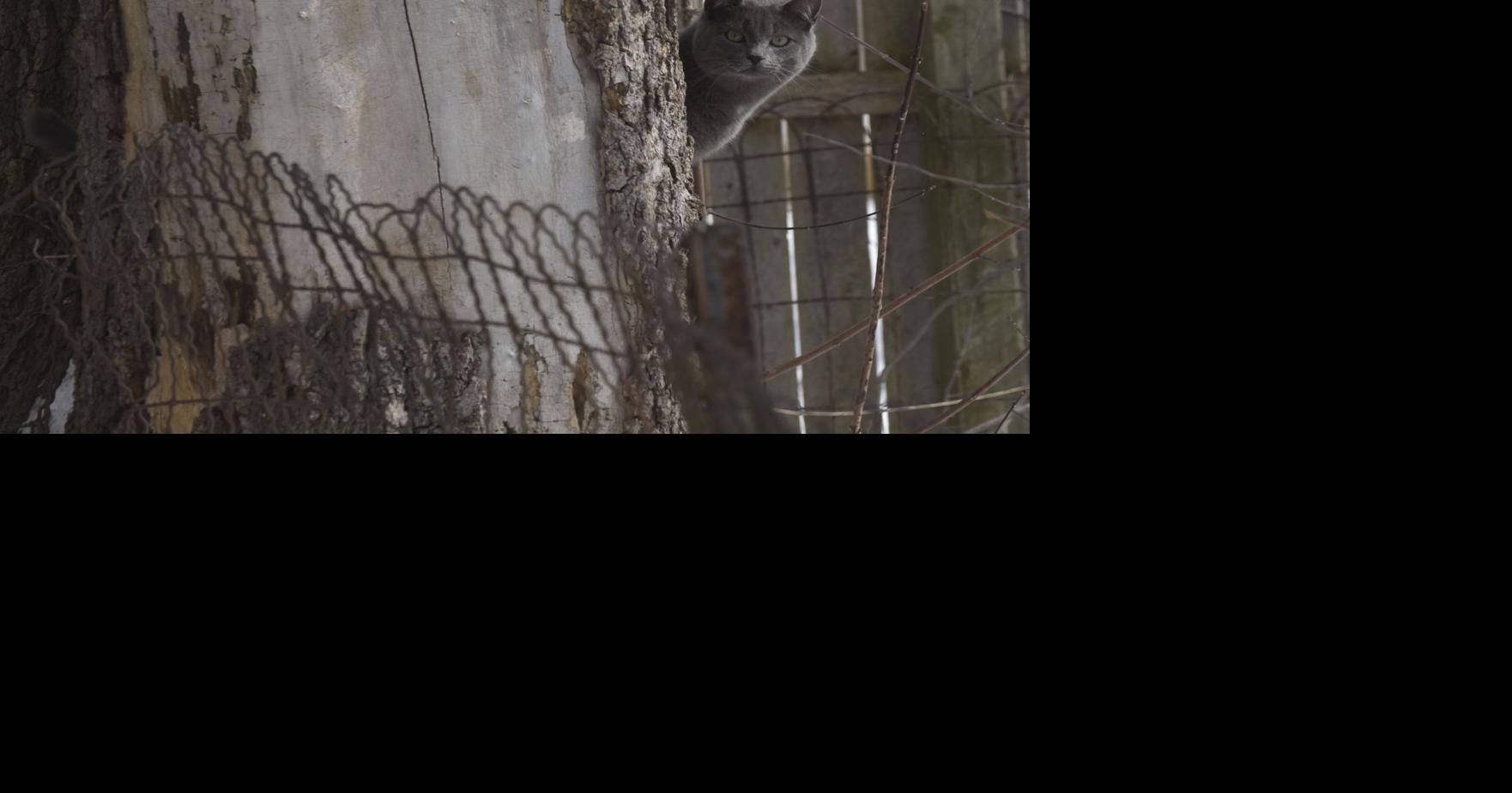 Photos of the Week: Revive Indiana, Concord Best Dance Crew, more ...