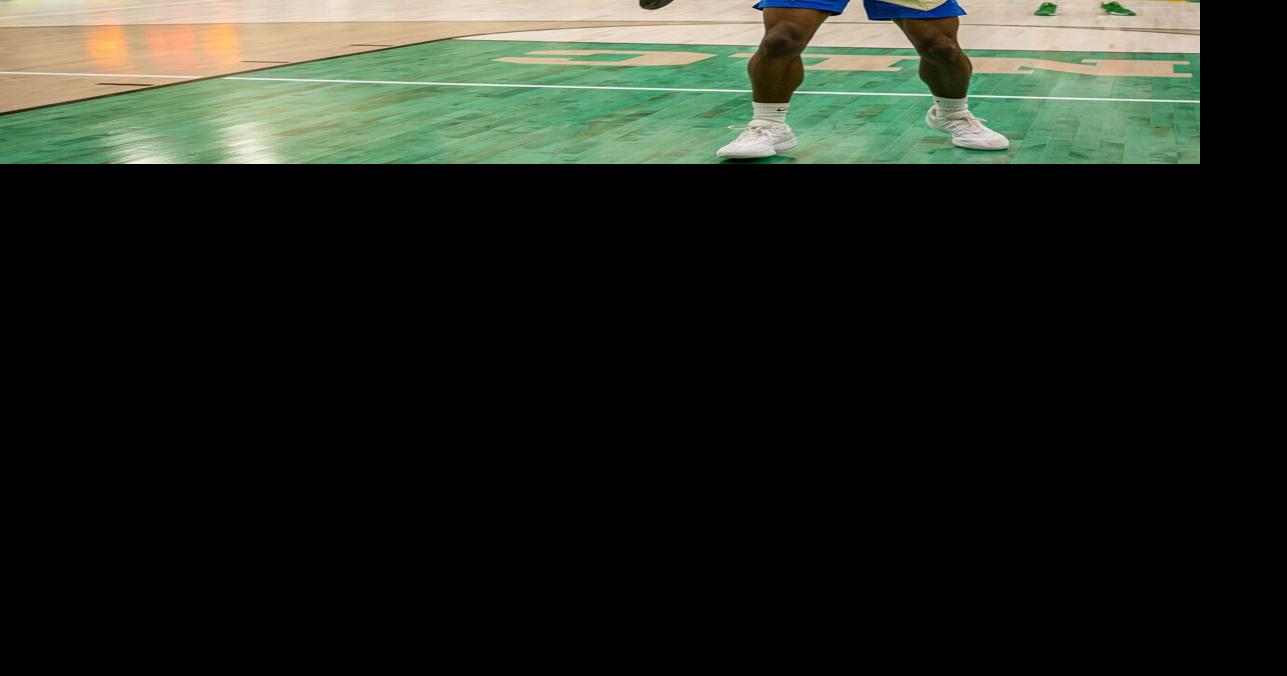 Northridge's Scholl comes close to triple-double | Sports ...