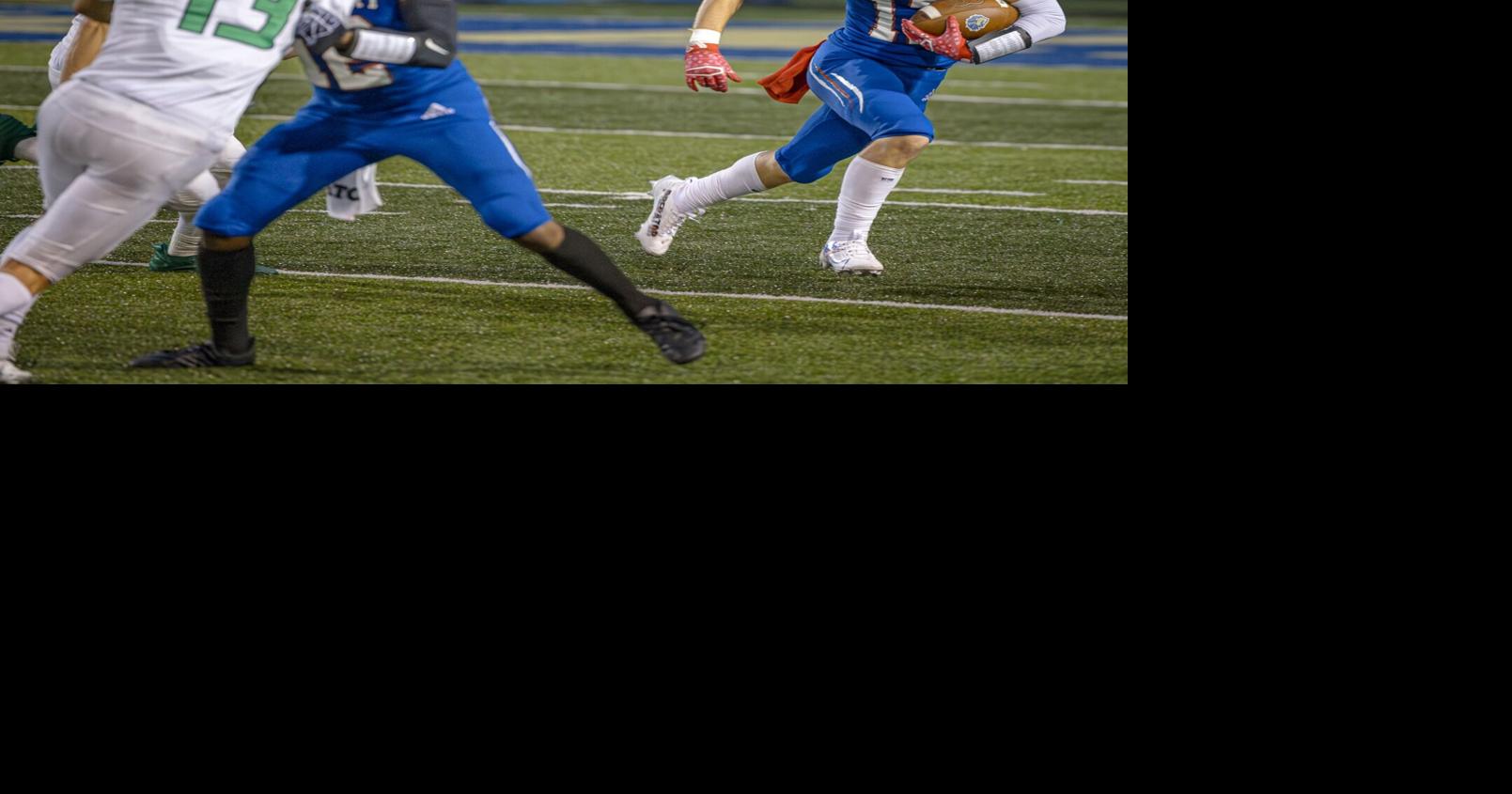 Johnson's three interceptions key Lions win | Sports | elkharttruth.com