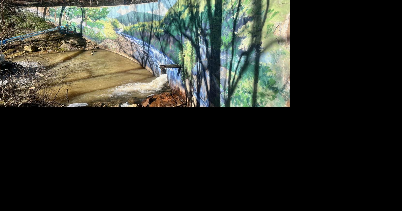 Renowned artist Eva Crawford completes mural at Klondike Dam adjacent ...
