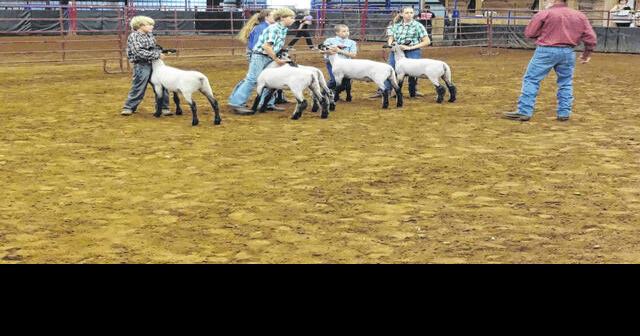 4-H Livestock Show this weekend | News | elkintribune.com