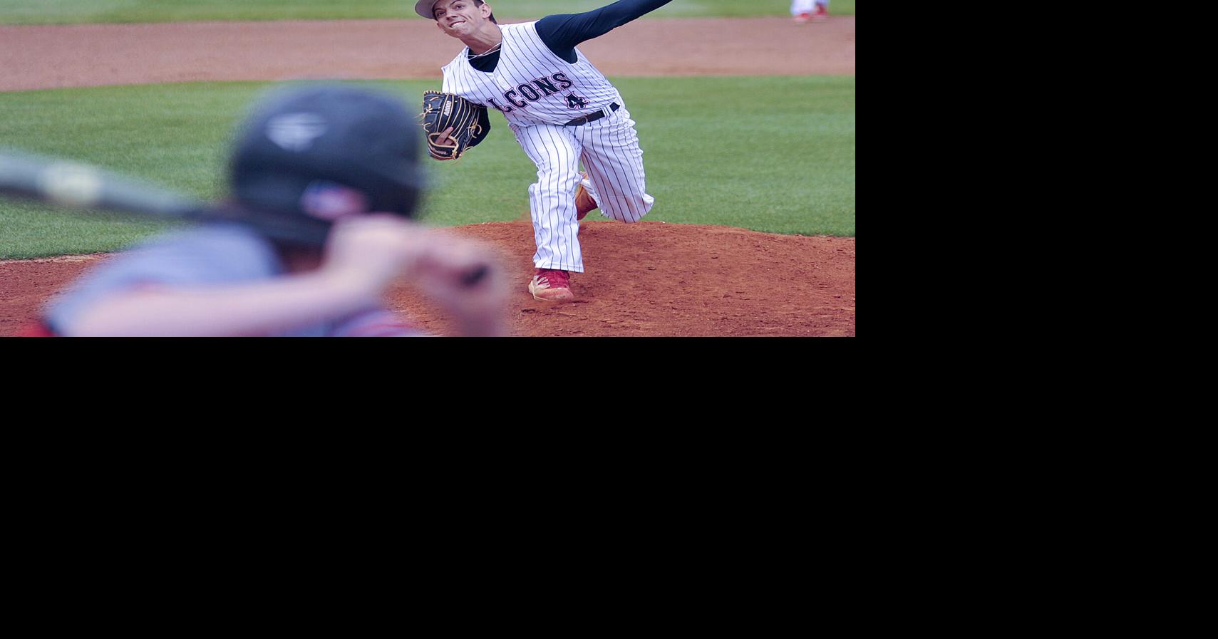 Yadkin Valley hardballers recognized by NCBCA | Sports | elkintribune.com