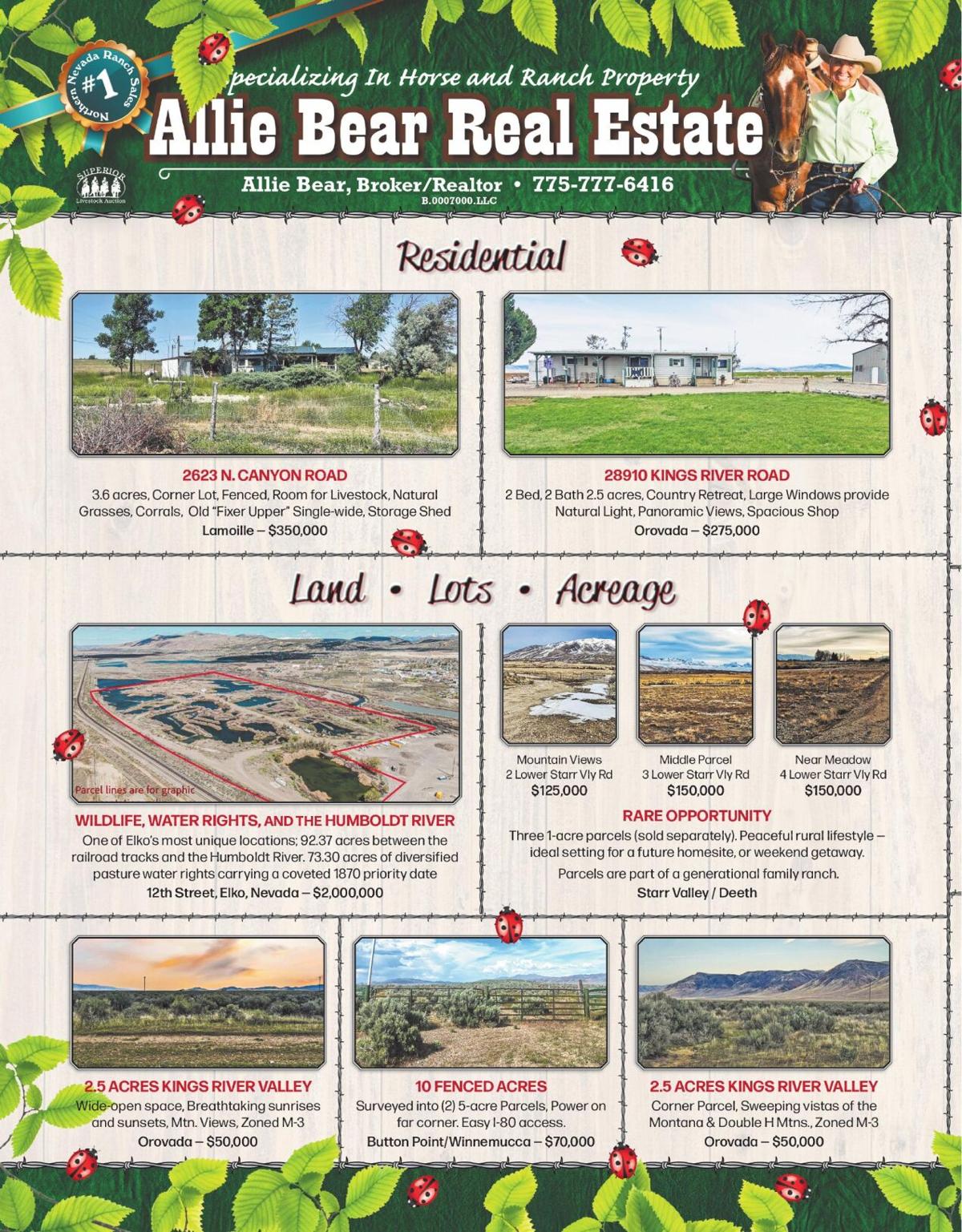 ALLIE BEAR REAL ESTATE - Ad from 2026-06-06