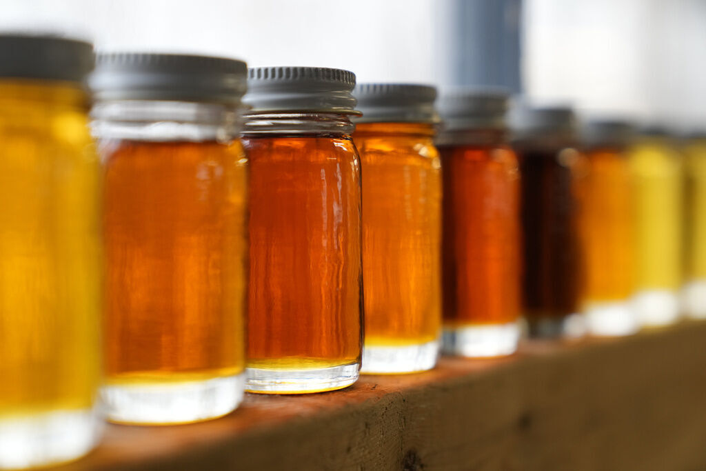 Hanington - The sweet science of maple syrup
