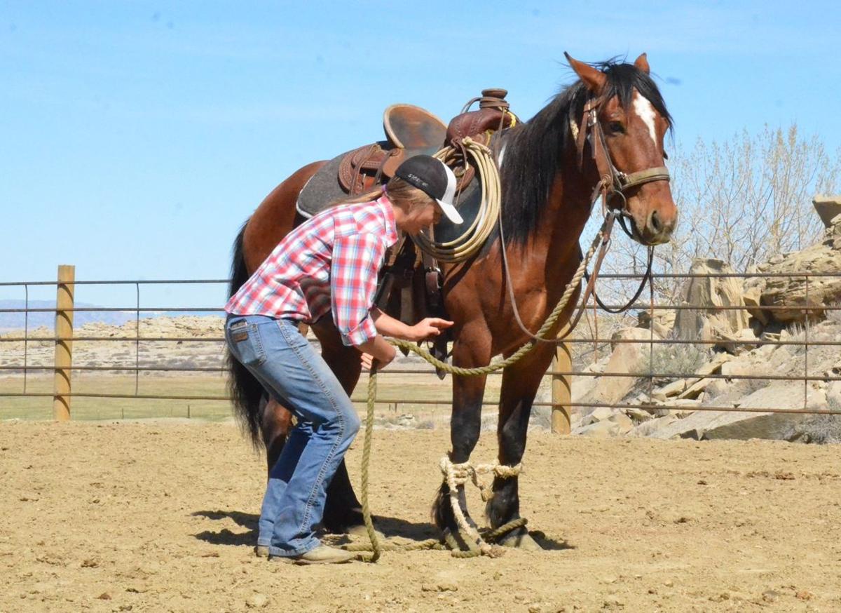 Competing in the Extreme Mustang Makeover