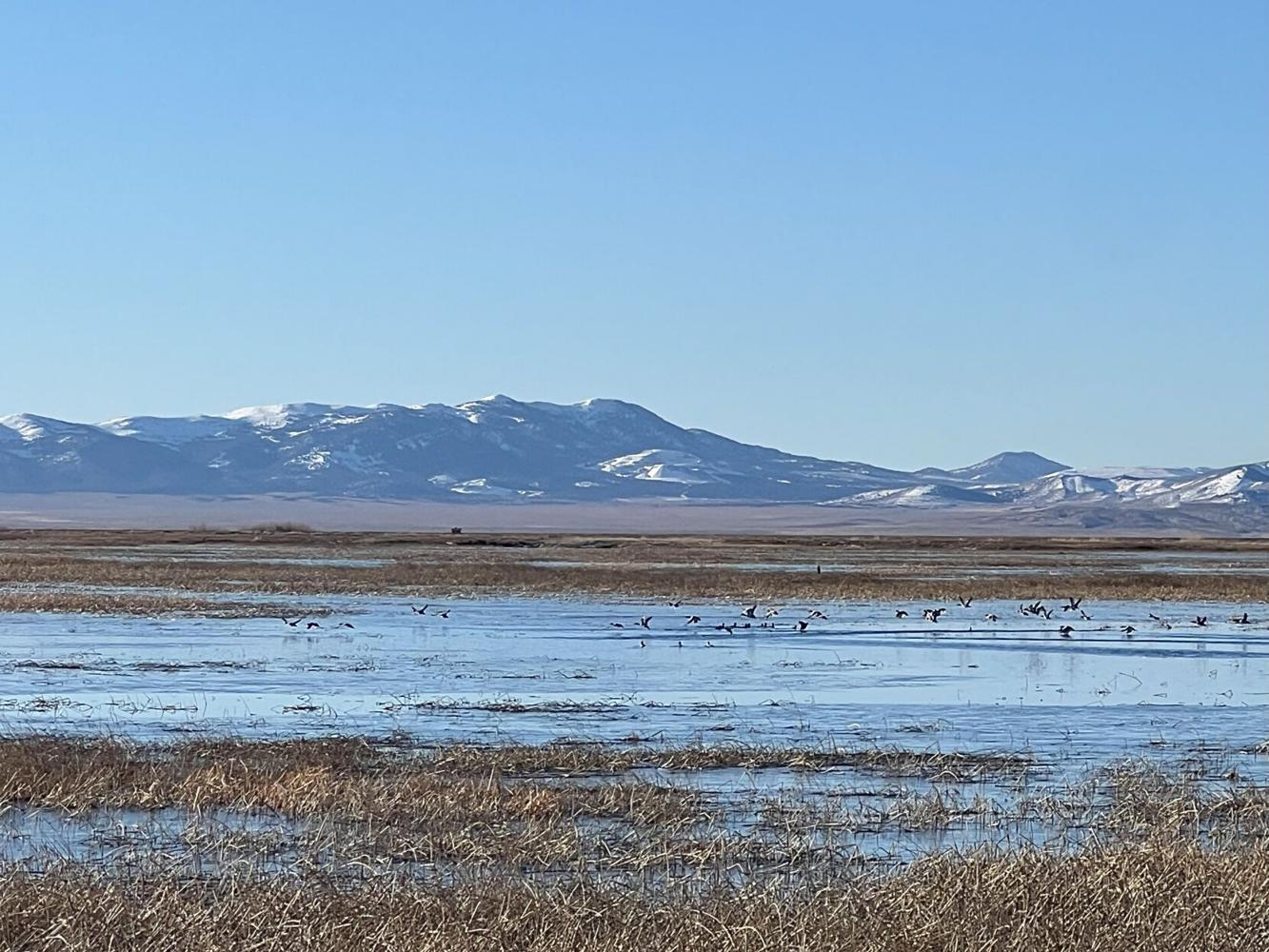 Gallery: Exploring Ruby Lake National Wildlife Refuge