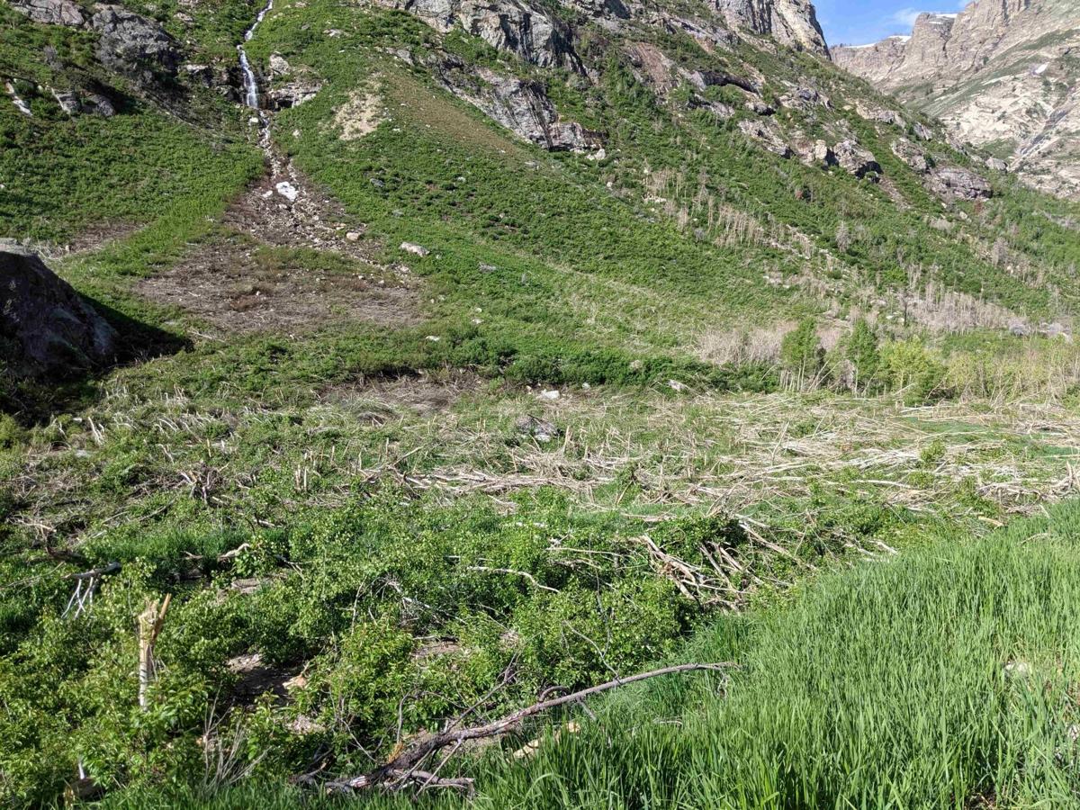 Nature Notes: Do you remember Lamoille Canyon?