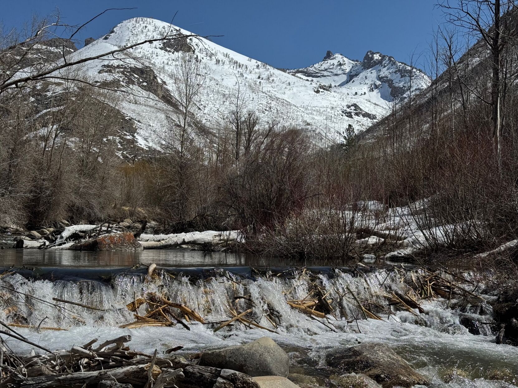 Photos: A look at nature in Lamoille Canyon