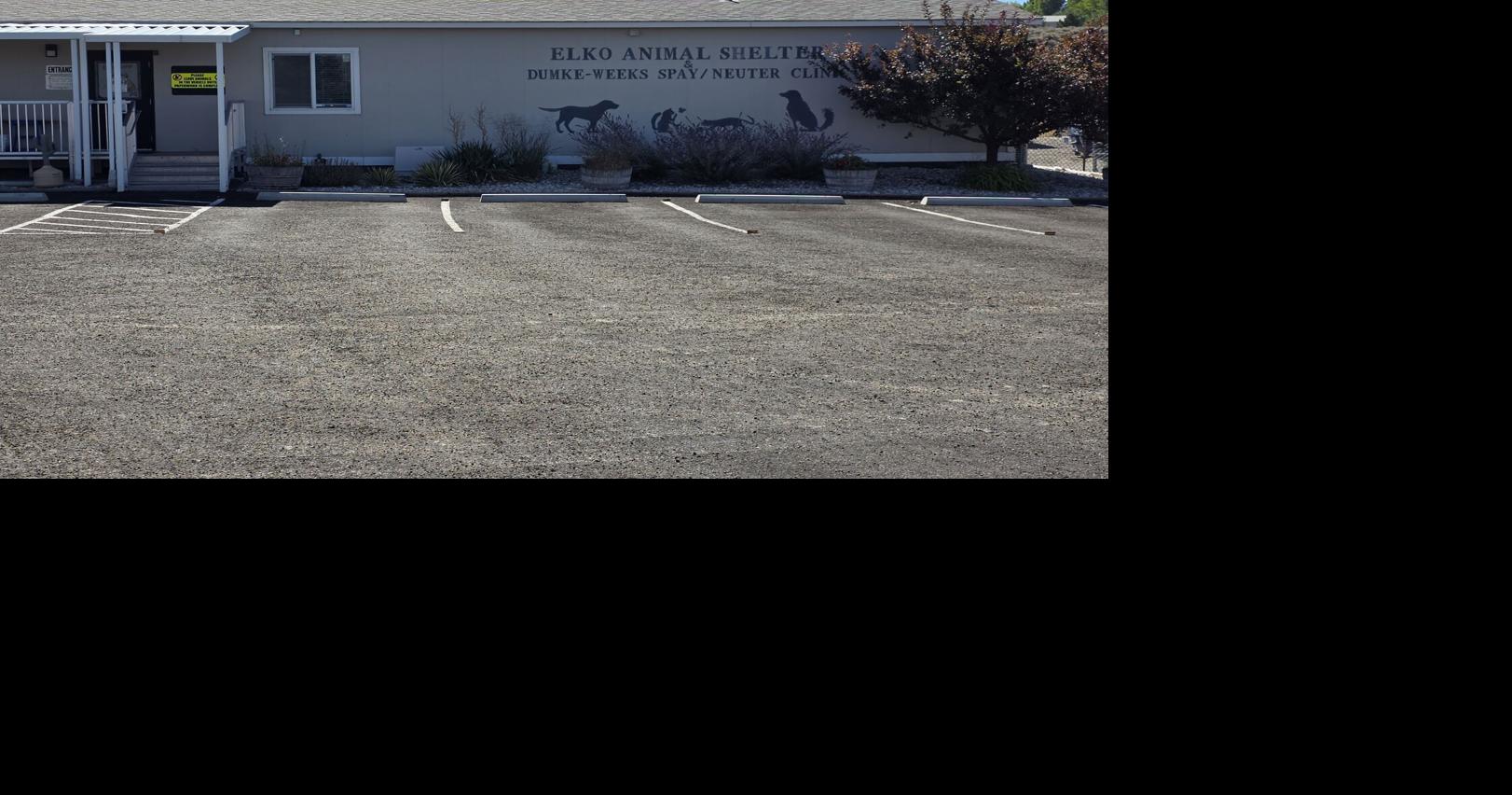 Elko council talks new animal shelter, airport land acquirements