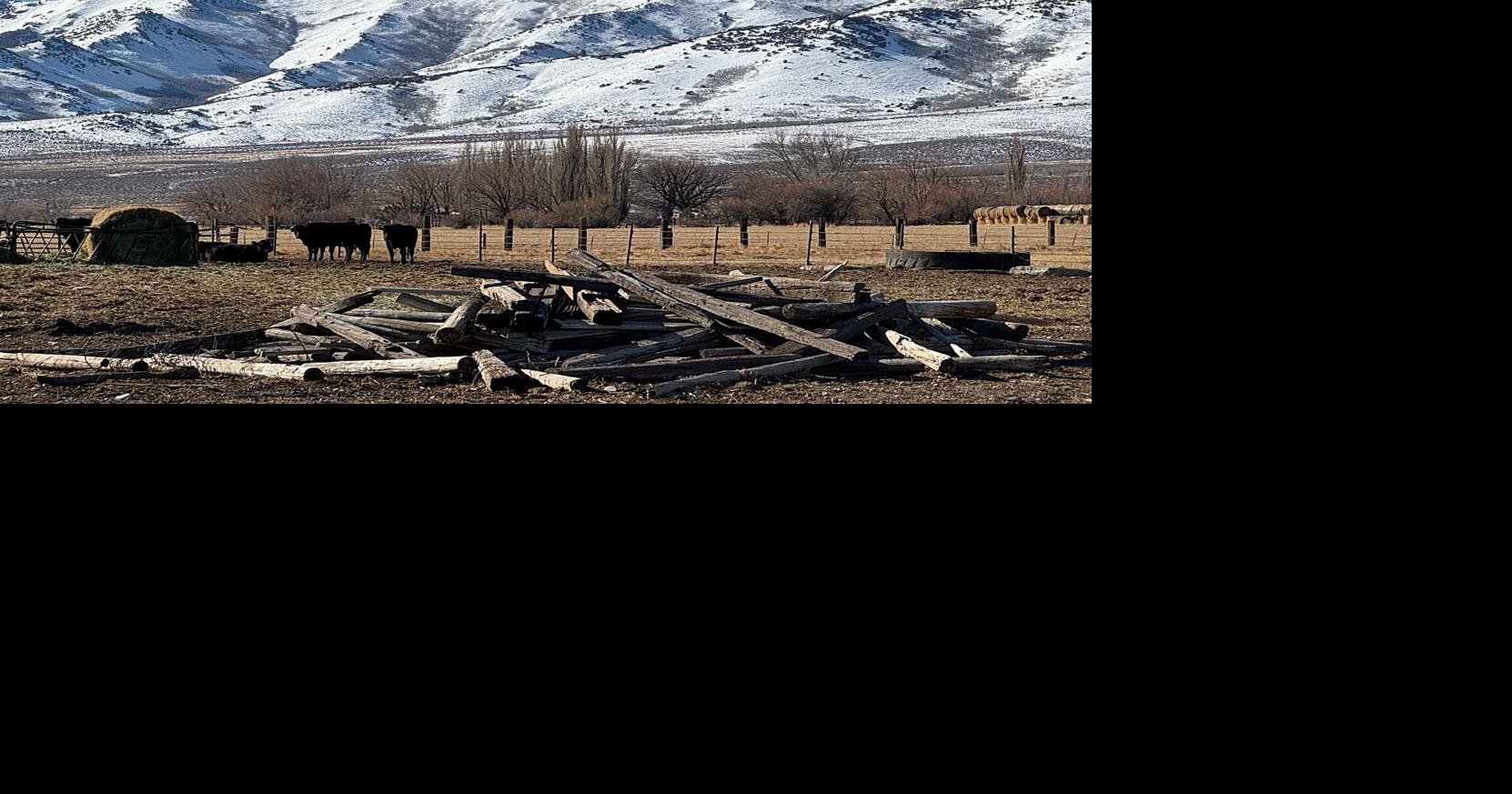 Ranchers show, tell what life is like back home on the range