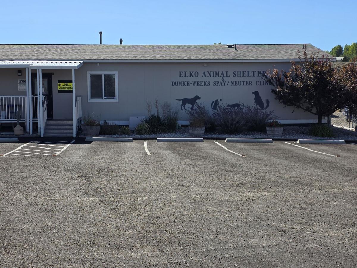 Elko council talks new animal shelter, airport land acquirements
