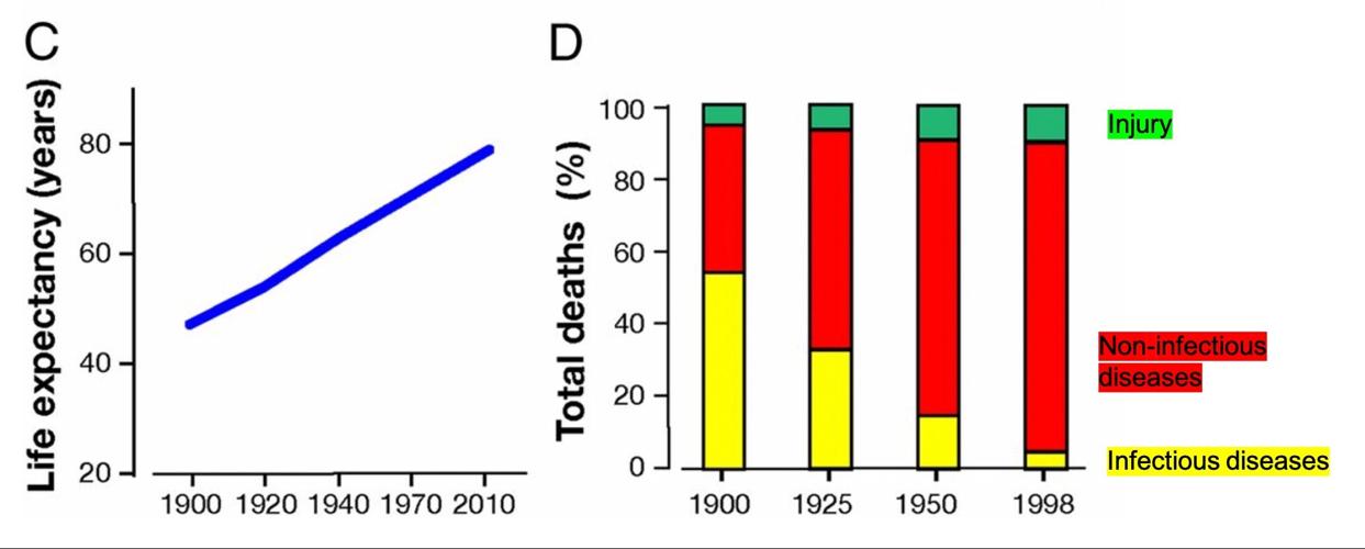 Speaking of Science: We need to review the recent history of infectious ...