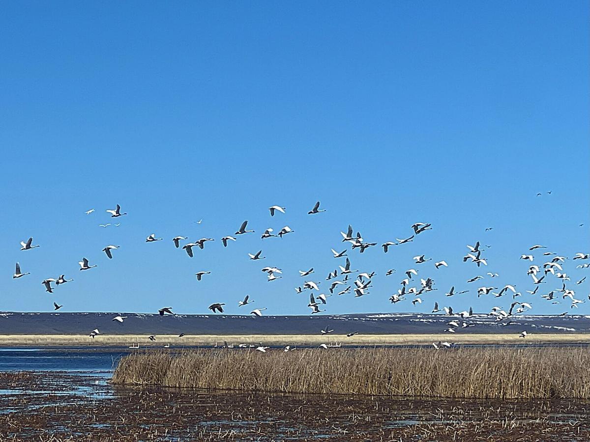 Agriculture Department's agency works with Duck Valley tribe