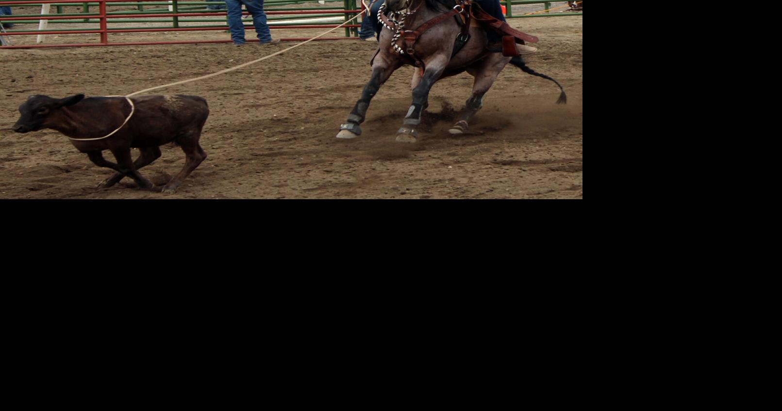 White Pine Rodeo results