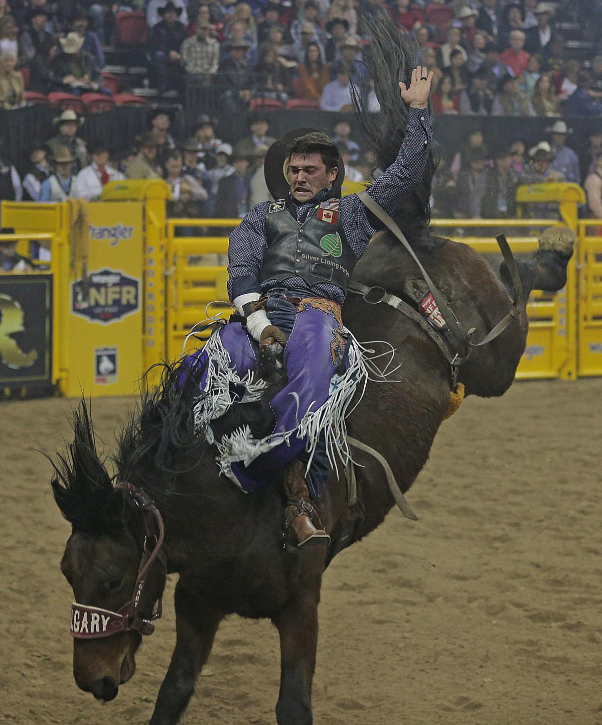 Talent galore: Stampede brings in the big guns | Local Sports ...