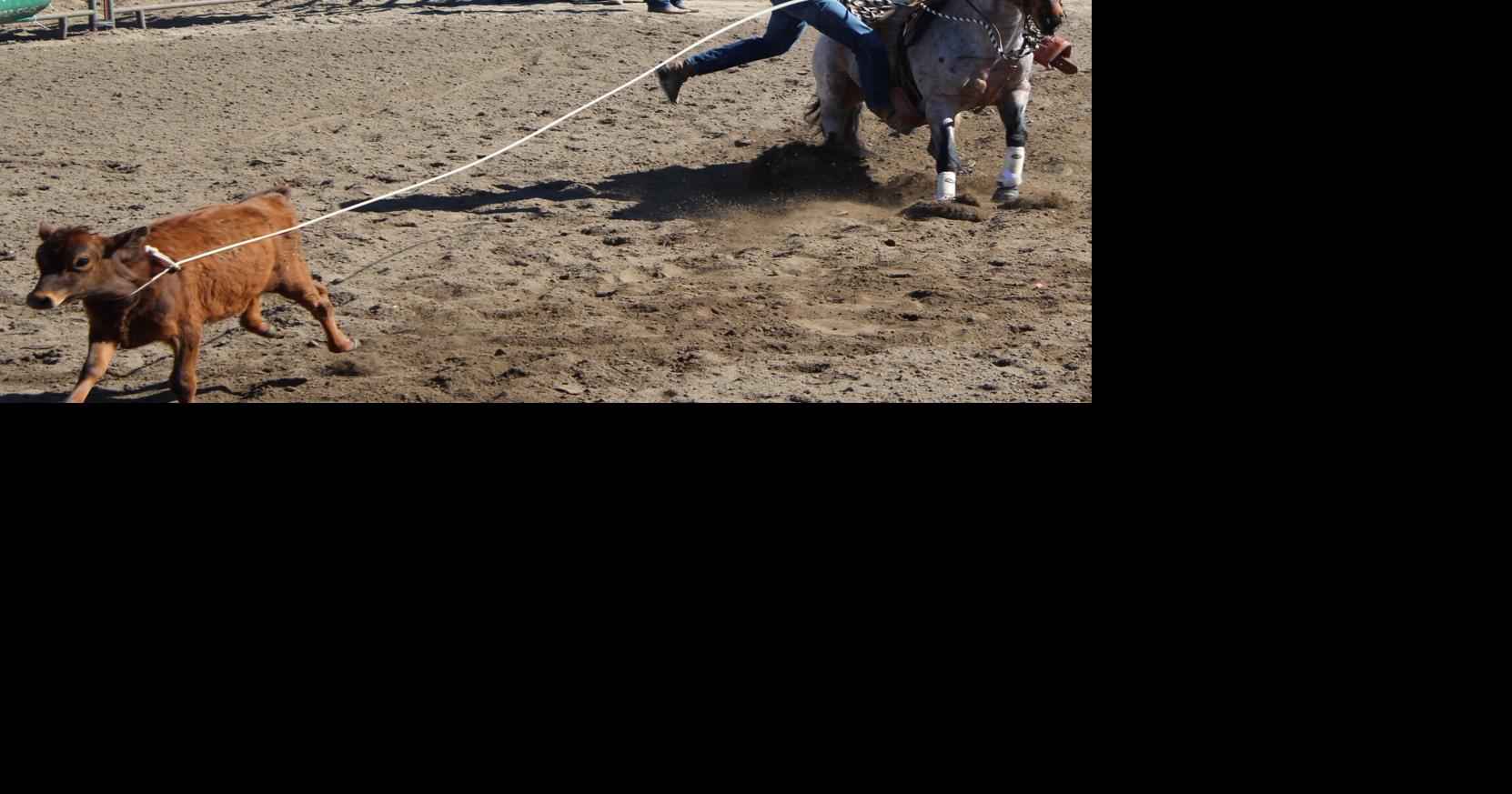 Fernley high school and junior high rodeo results