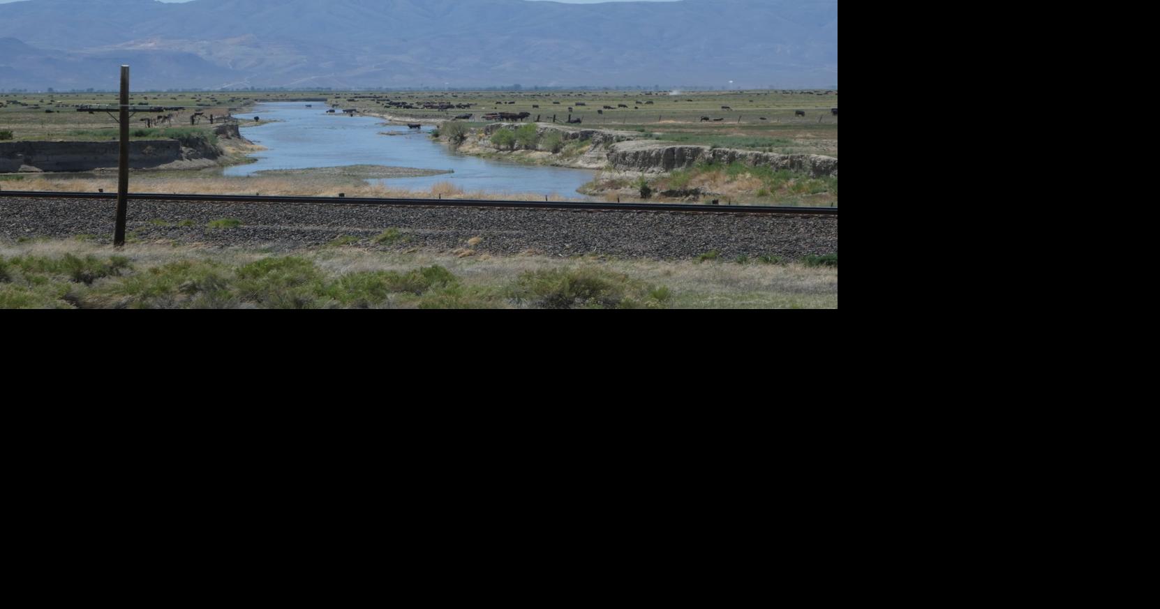 Nature Notes: The destroyed Argenta Marsh