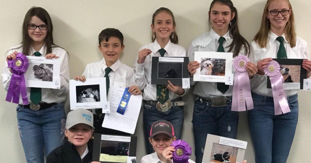 4-H photo contest winners announced