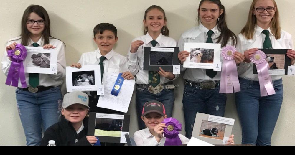 4-H photo contest winners announced
