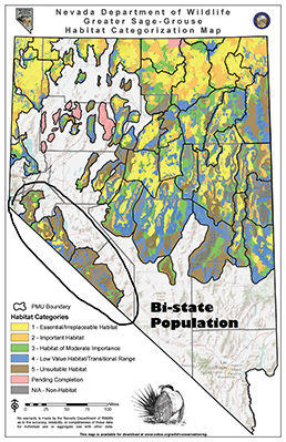 Nature Notes: Finding good sage grouse habitat