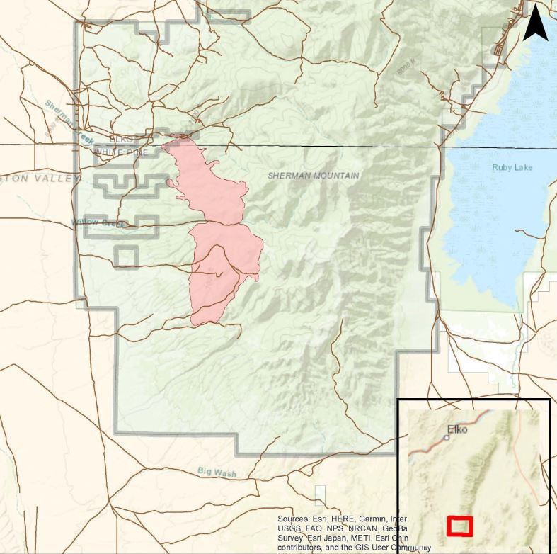 Ruby Mountain fire sparked by chain saw