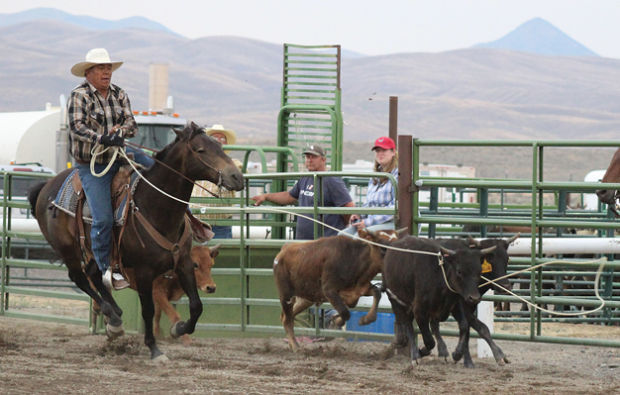 Buckaroos rope and ride in Carlin
