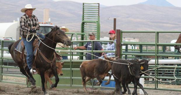 Buckaroos rope and ride in Carlin