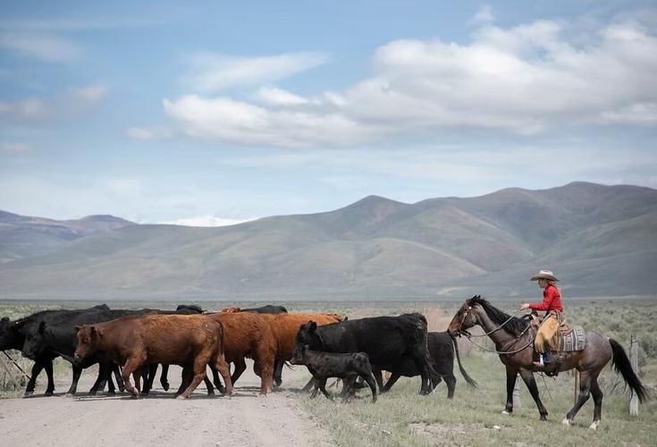 Elko area, talent featured in film premiering at Gathering