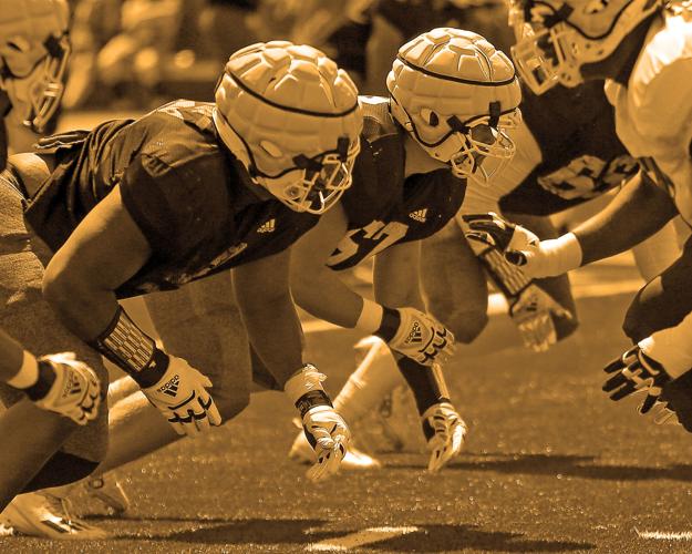 Fesenmaier opens fall ball with University of Nevada