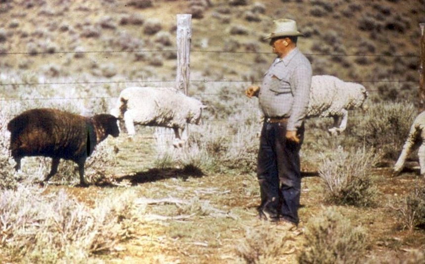 McAdoo's Basque sheepherder's presentation to go on