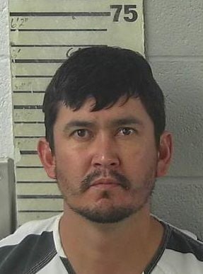 Dooley takes manslaughter plea offer