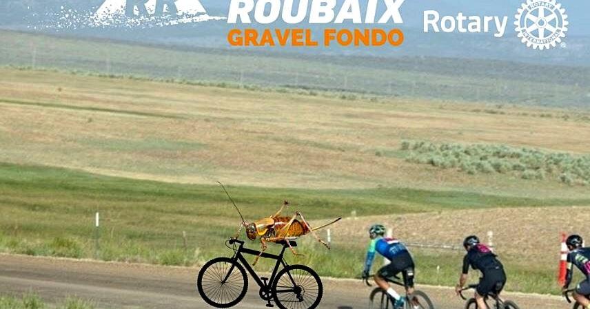 Cracking up over the cannibal cricket crisis