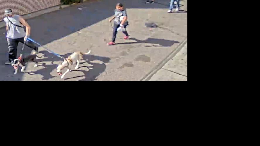 Crime | elkodaily.com