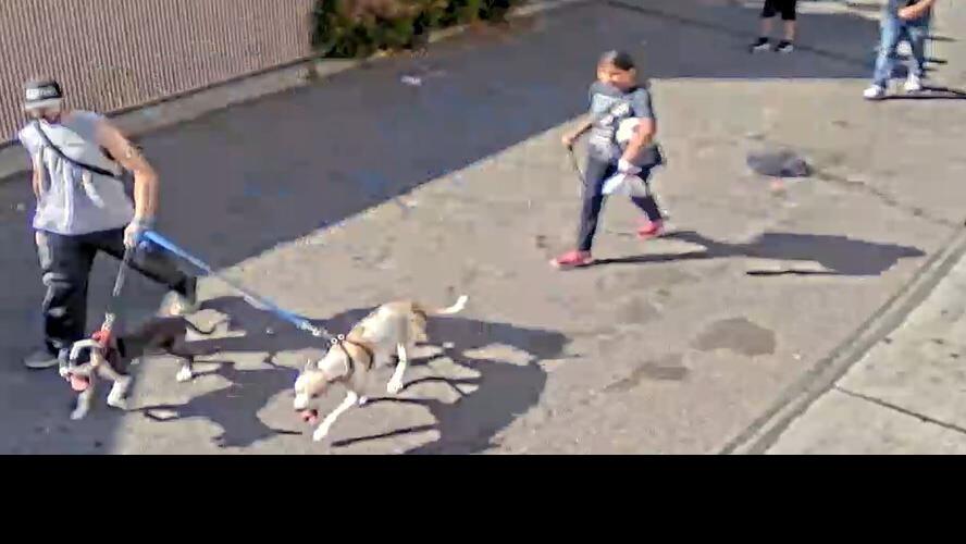 Crime | elkodaily.com