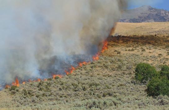 Five wildfires in past week