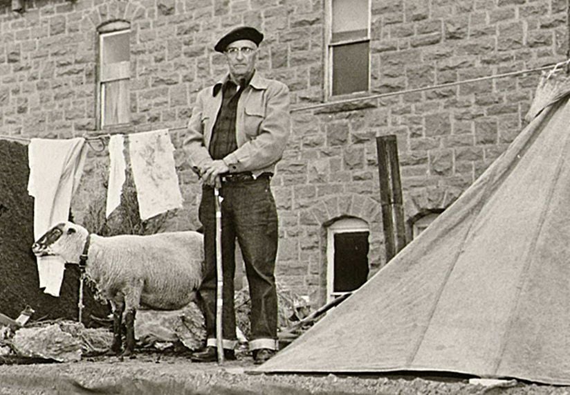 The museumification of the Basque sheepherder in the American West