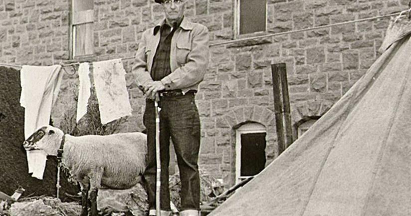The museumification of the Basque sheepherder in the American West
