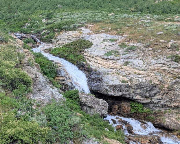 Nature Notes: Hiking Thomas Canyon