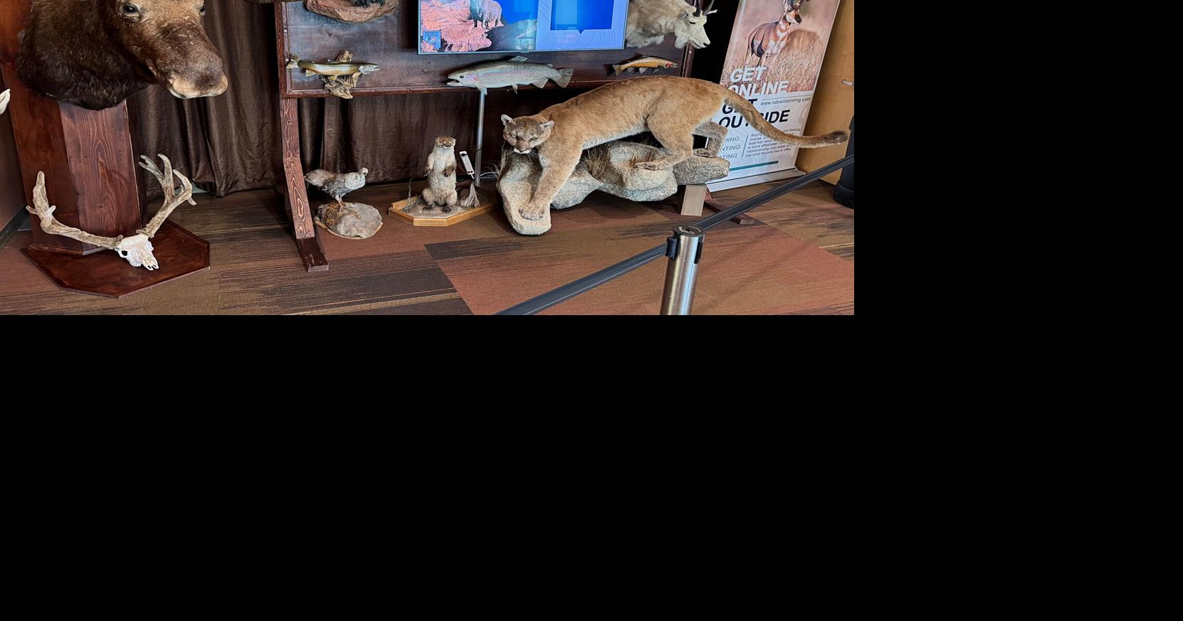 Photos: Elko Sportsman's Expo